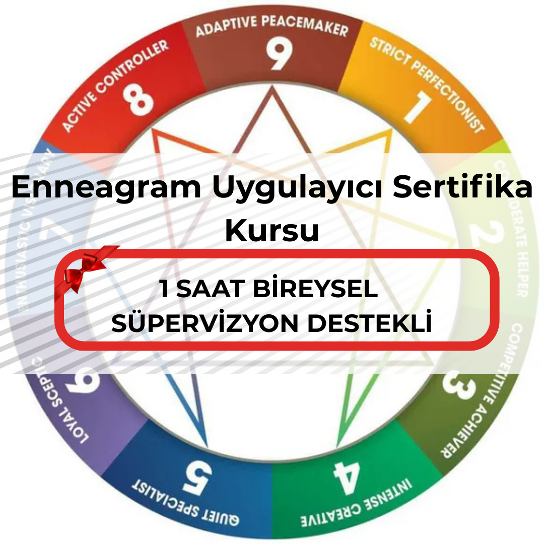 Enneagram Uygulayıcı Sertifika Kursu - Psikoterapist Mehmet ULUBEY